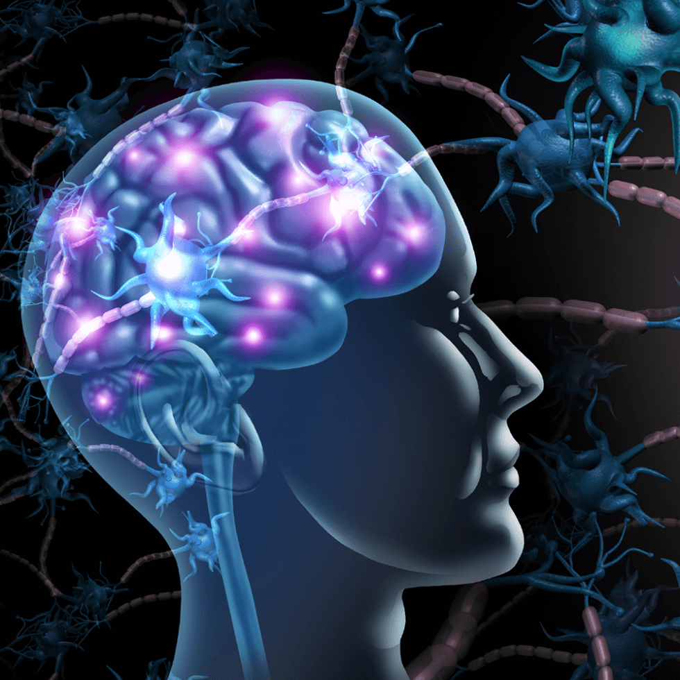 Stem Cells and Brain Damage | Cells4Life