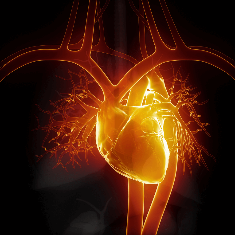 Stem Cell Treatment For Pulmonary Arterial Hypertension Common Birthdays Stem Cell Treatment For Pulmonary Arterial Hypertension Common Birthdays