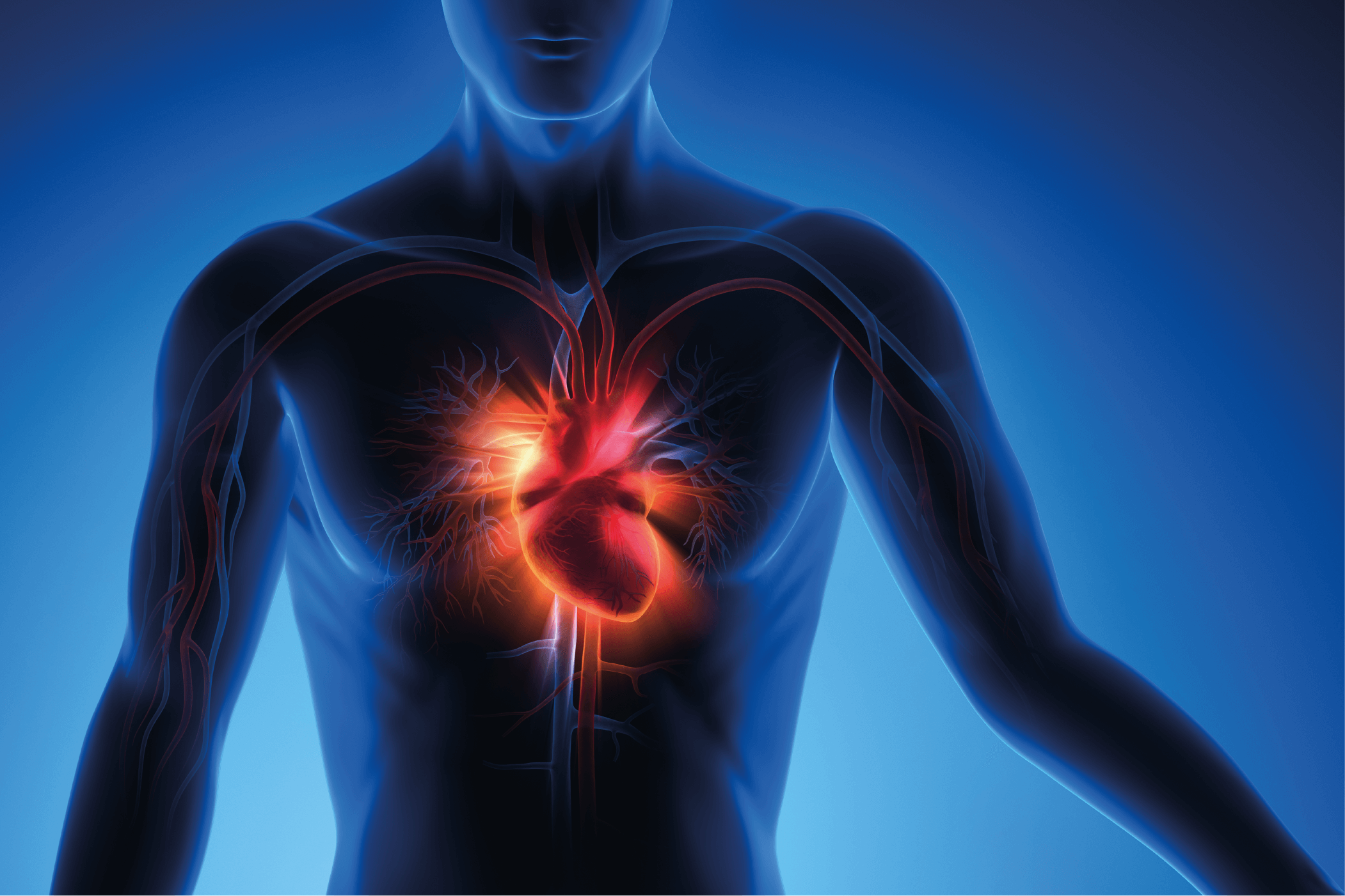 Can stem cells repair heart attack damage?
