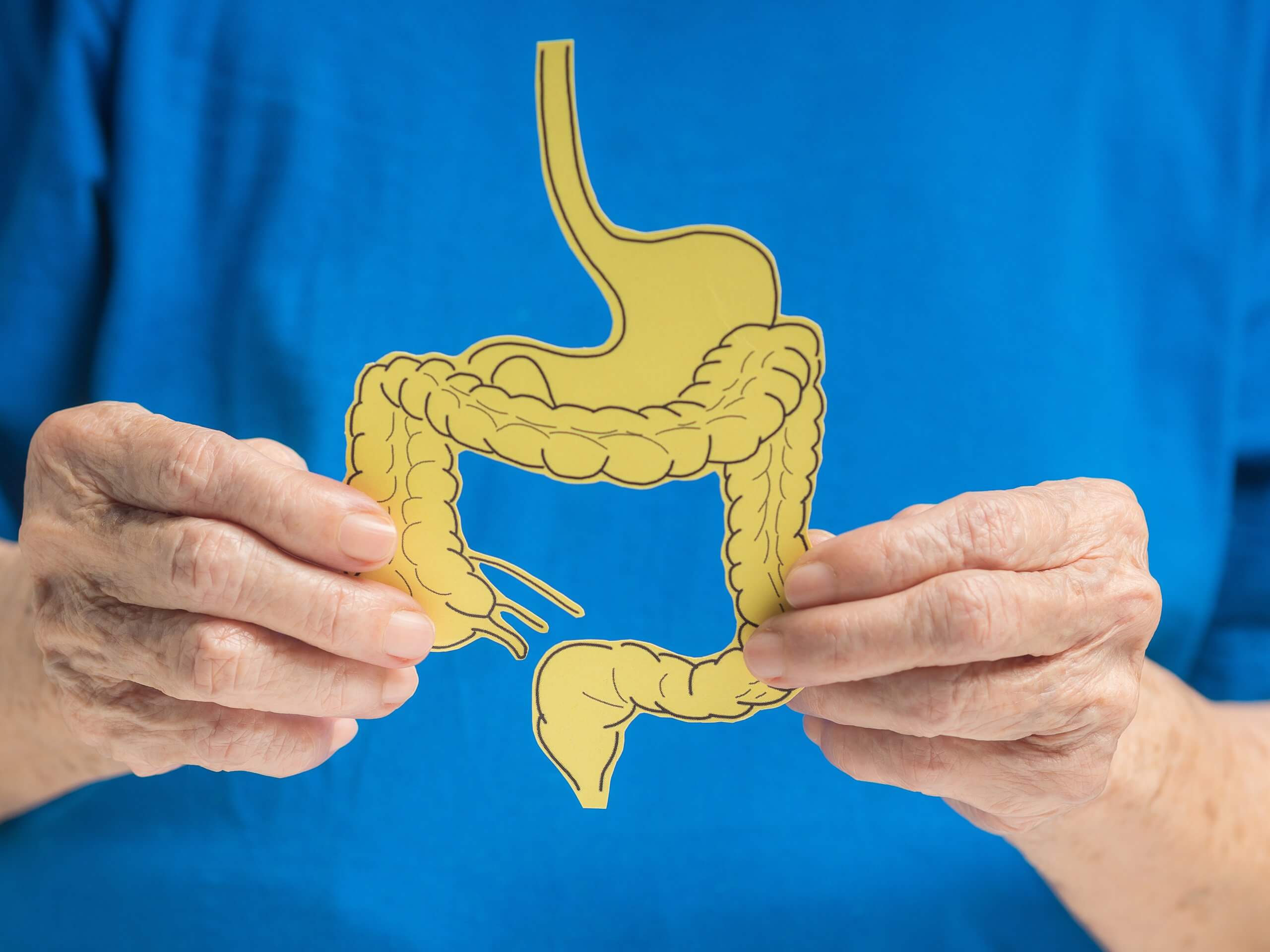 Pivotal Role for Stem Cells in New Therapy For Rare Gut Disease